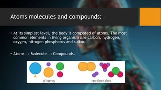 human anatomy lecture 1 intro | PPTX