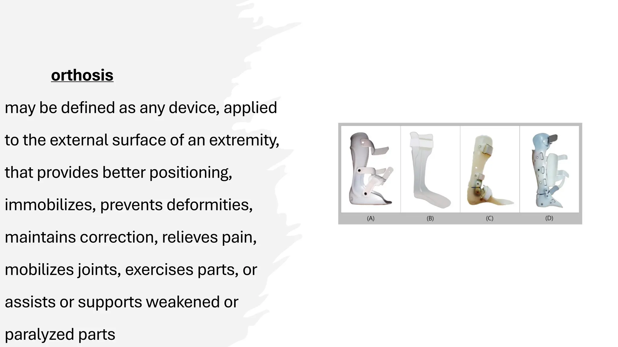 lecture 1 introduction... Ortho lecture 1 | PDF