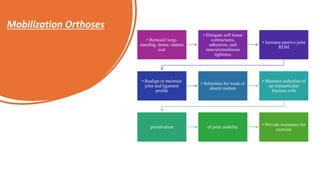 lecture 1 introduction... Ortho lecture 1 | PDF
