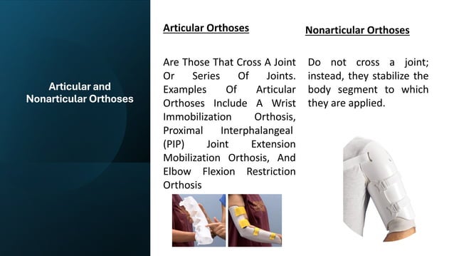 lecture 1 introduction... Ortho lecture 1 | PDF