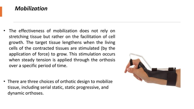 lecture 1 introduction... Ortho lecture 1 | PDF