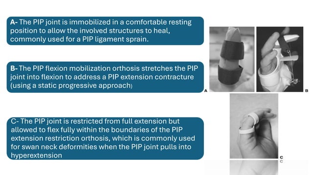 lecture 1 introduction... Ortho lecture 1 | PDF