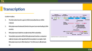 lecture 1 Introduction.pptx medical labrotry | PPTX