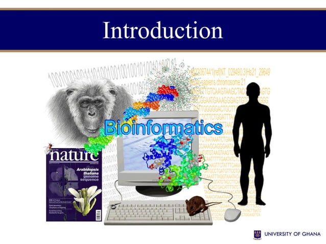 Lecture 1 Introduction Bioinformatics Pptx