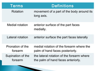Lecture 1 introduction to anatomy nursing level 1 | PPT | Physical ...