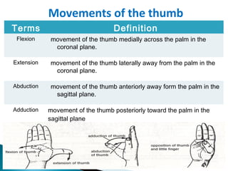 Lecture 1 introduction to anatomy nursing level 1 | PPT