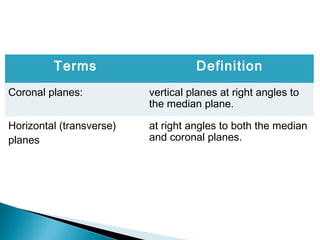 Lecture 1 introduction to anatomy nursing level 1 | PPT
