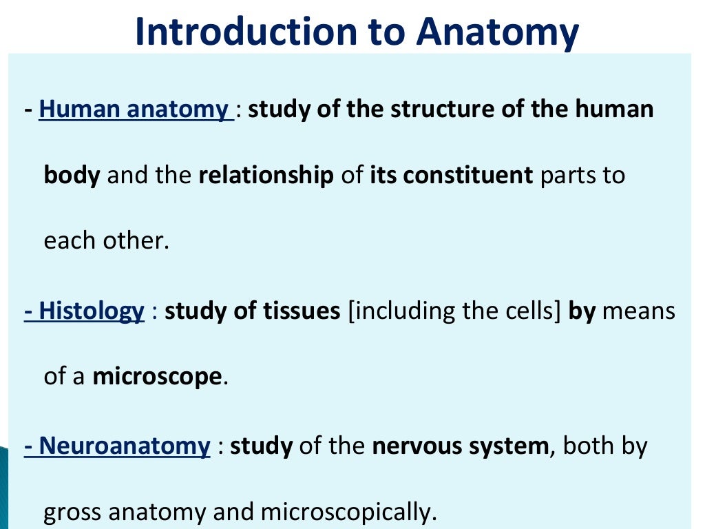 Lecture 1 Introduction To Anatomy Nursing Level 1 lecture-1-introduction-to-anatomy-nursing-level-1