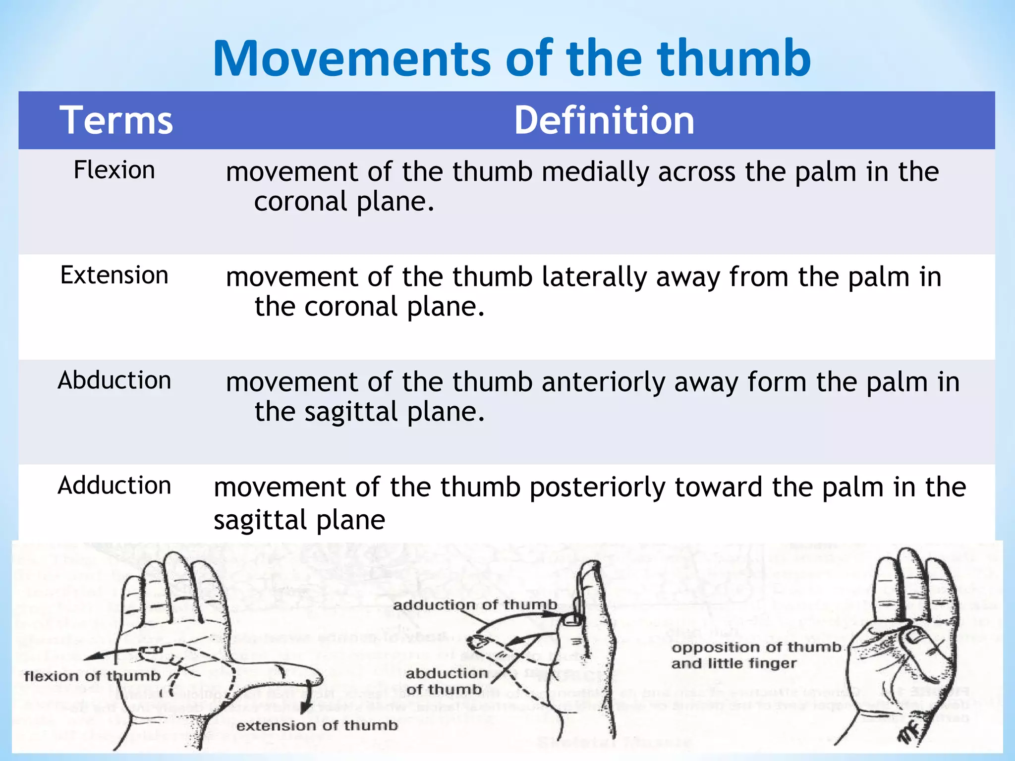 Lecture 1 introduction to anatomy MLS level 3 | PPT