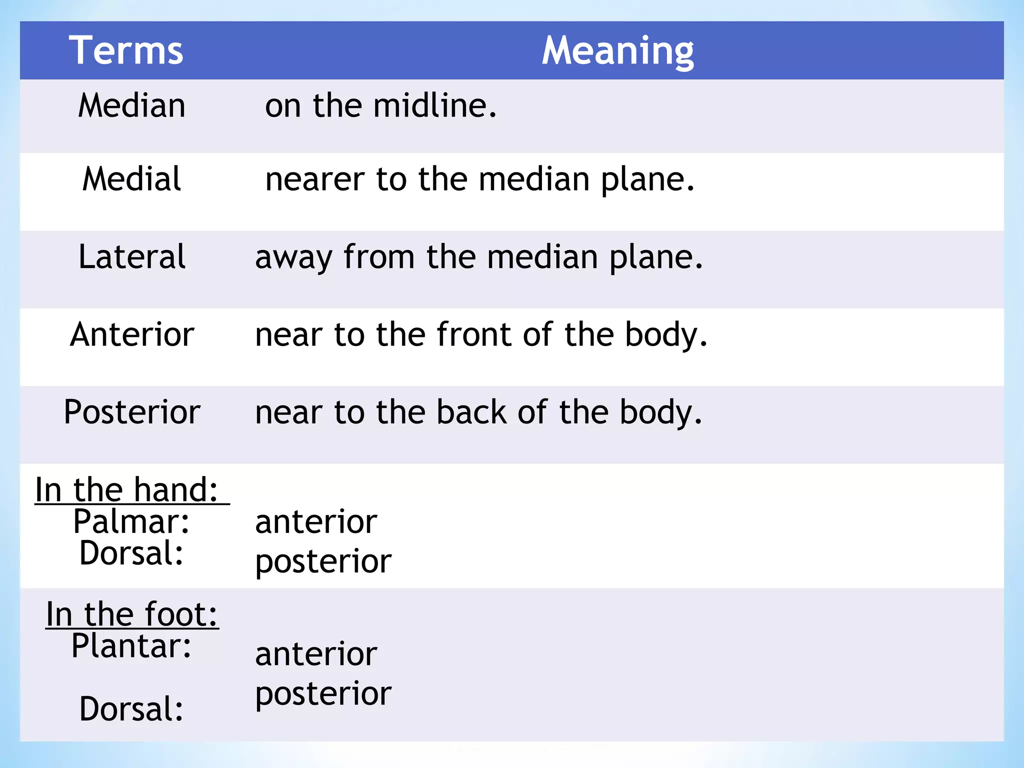 Lecture 1 introduction to anatomy MLS level 3 | PPT | Biological Sciences | Science