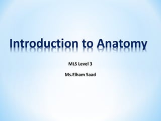 Lecture 1 introduction to anatomy MLS level 3 | PPT | Biological Sciences | Science