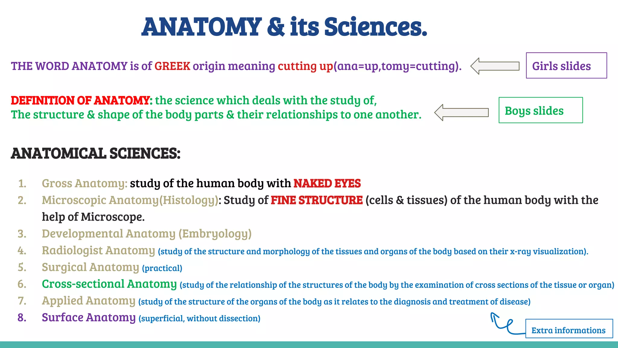 Lecture (1) INTRODUCTION TO ANATOMY SKELETAL SYSTEM_ BONE .pdf