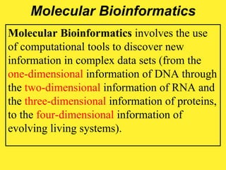 Lecture 1 Introduction to Bioinformatics BCH 433.ppt