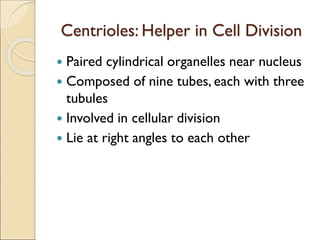 Lecture 1 Introduction to Cell Structure and Composition.pdf