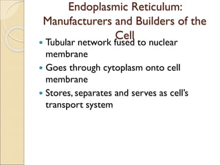 Lecture 1 Introduction to Cell Structure and Composition.pdf