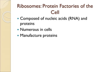 Lecture 1 Introduction to Cell Structure and Composition.pdf