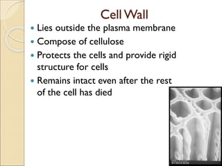 Lecture 1 Introduction to Cell Structure and Composition.pdf