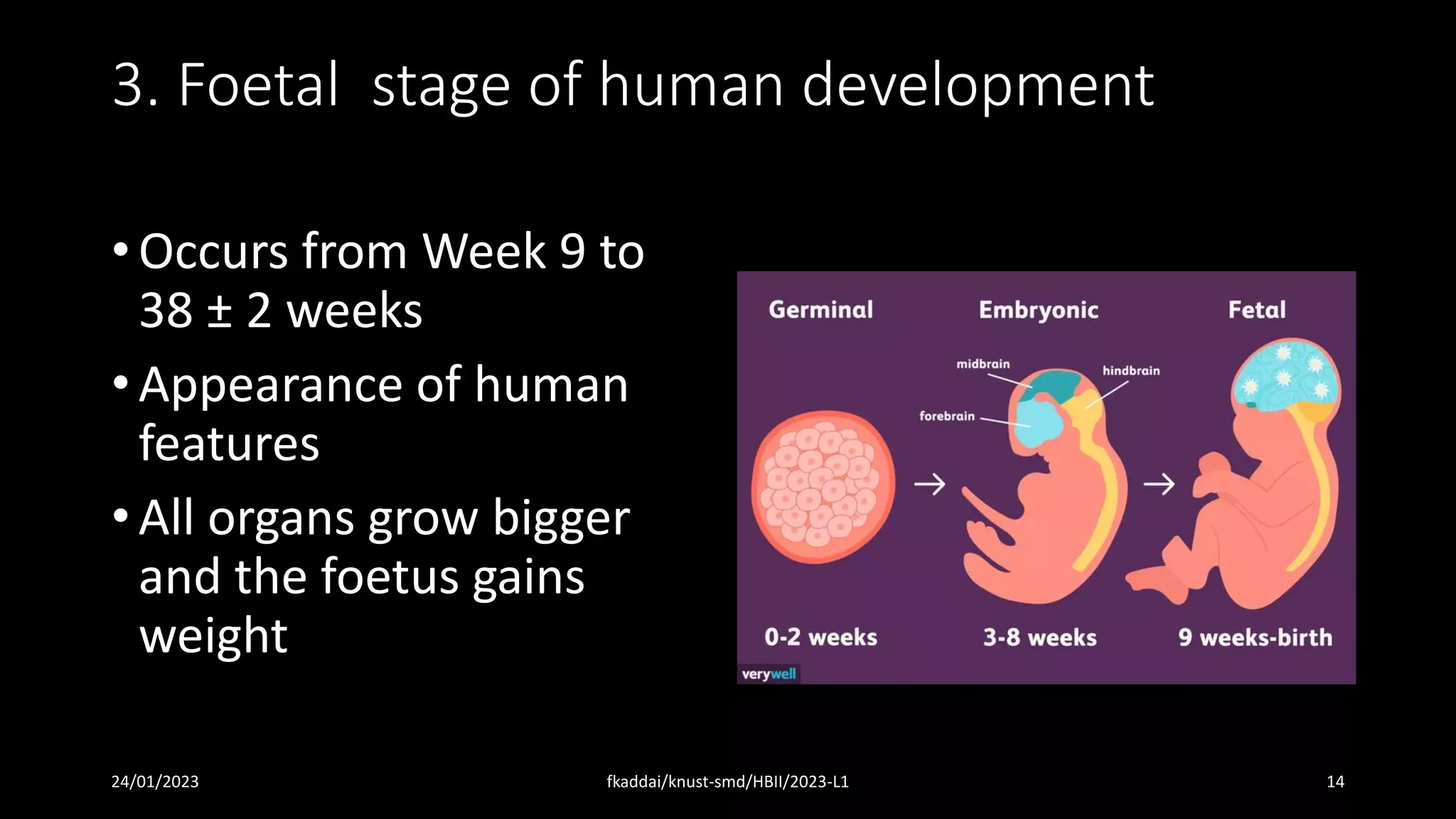 LECTURE 1 Introduction to embryology 2023 HB2 lecture 1 .pdf