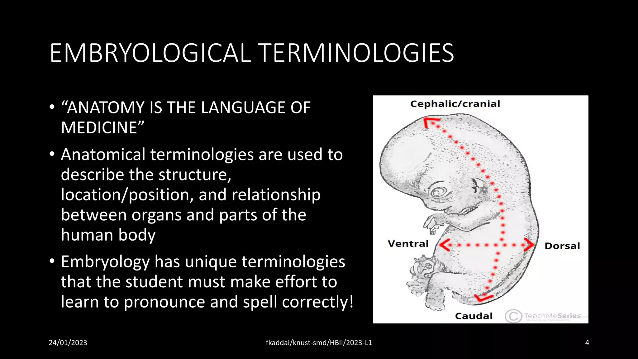 LECTURE 1 Introduction to embryology 2023 HB2 lecture 1 .pdf