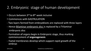 LECTURE 1 Introduction to embryology 2023 HB2 lecture 1 .pdf