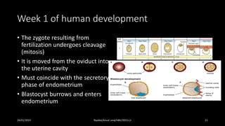LECTURE 1 Introduction to embryology 2023 HB2 lecture 1 .pdf