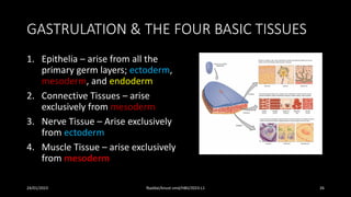 LECTURE 1 Introduction to embryology 2023 HB2 lecture 1 .pdf