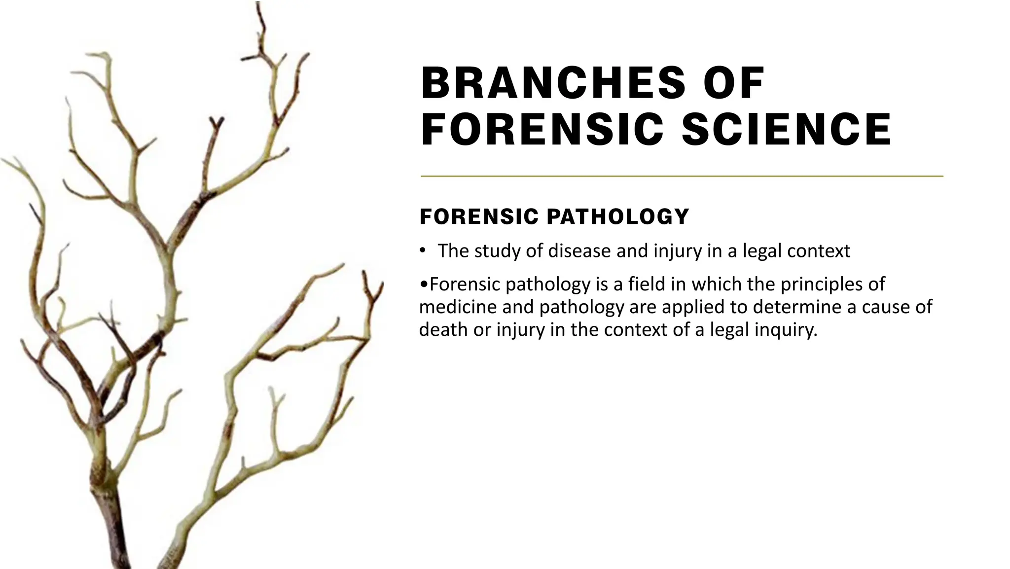 Introduction to Forensic Pathology course | PDF
