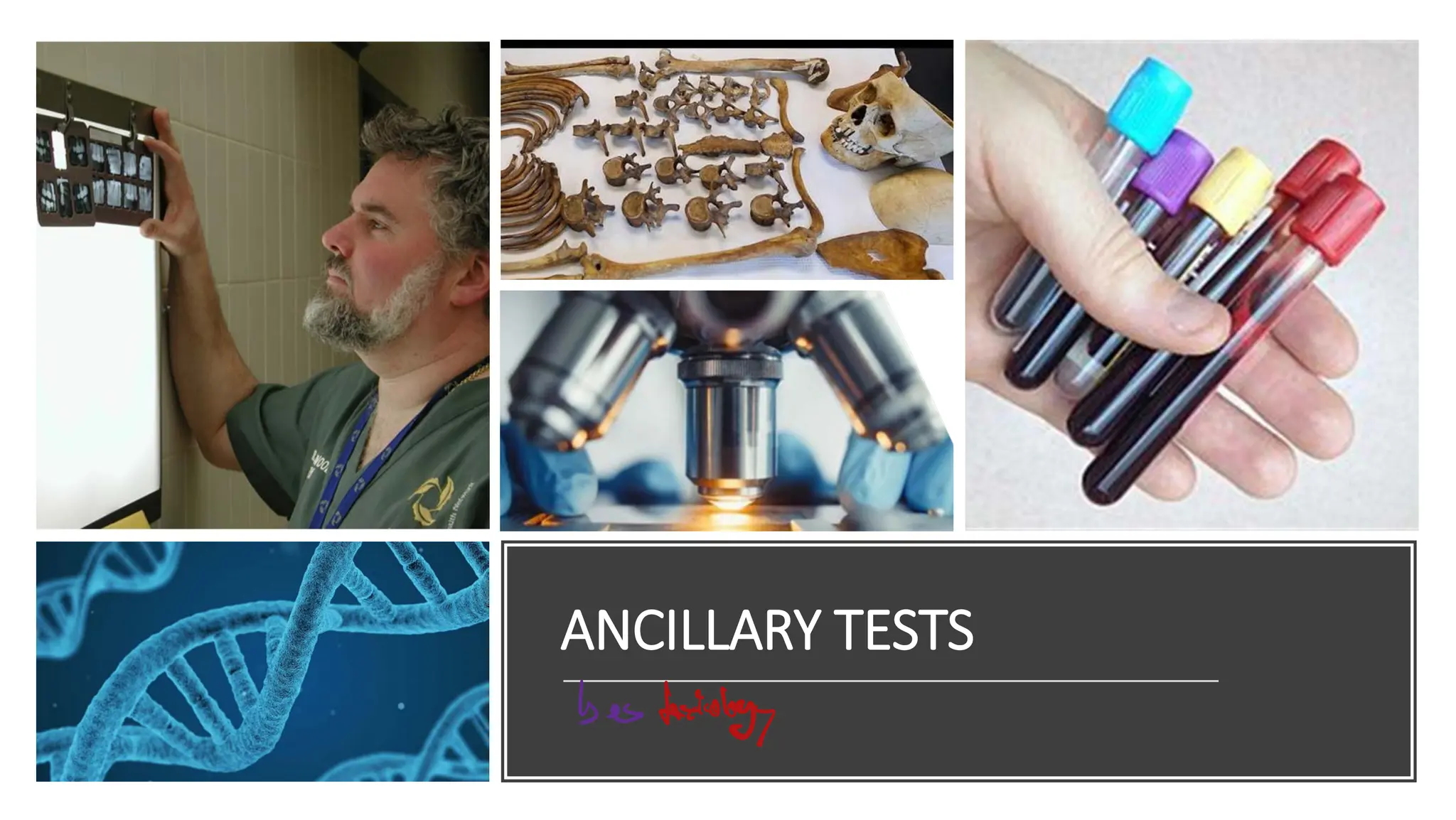 Introduction to Forensic Pathology course | PDF