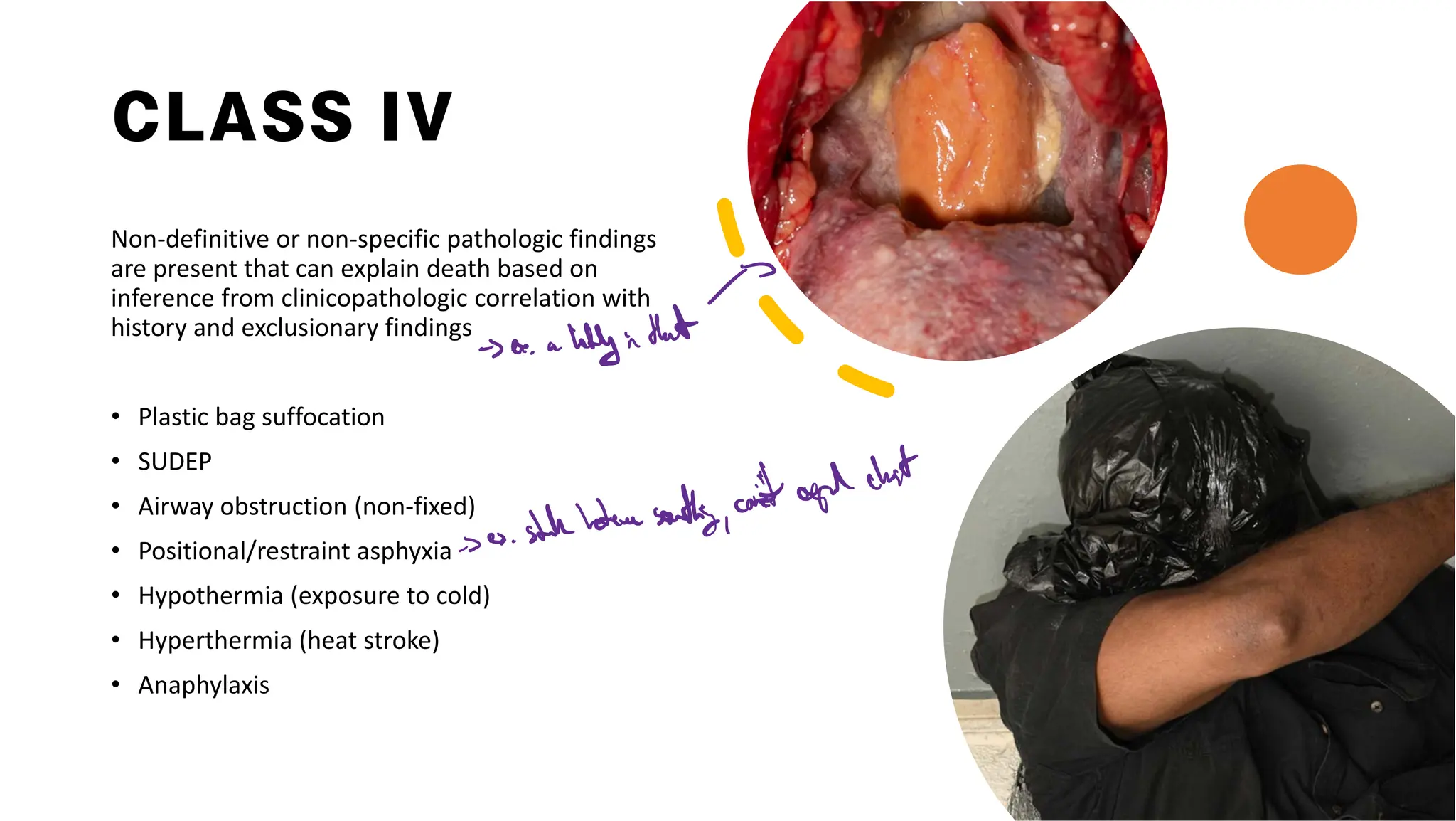 Introduction to Forensic Pathology course | PDF
