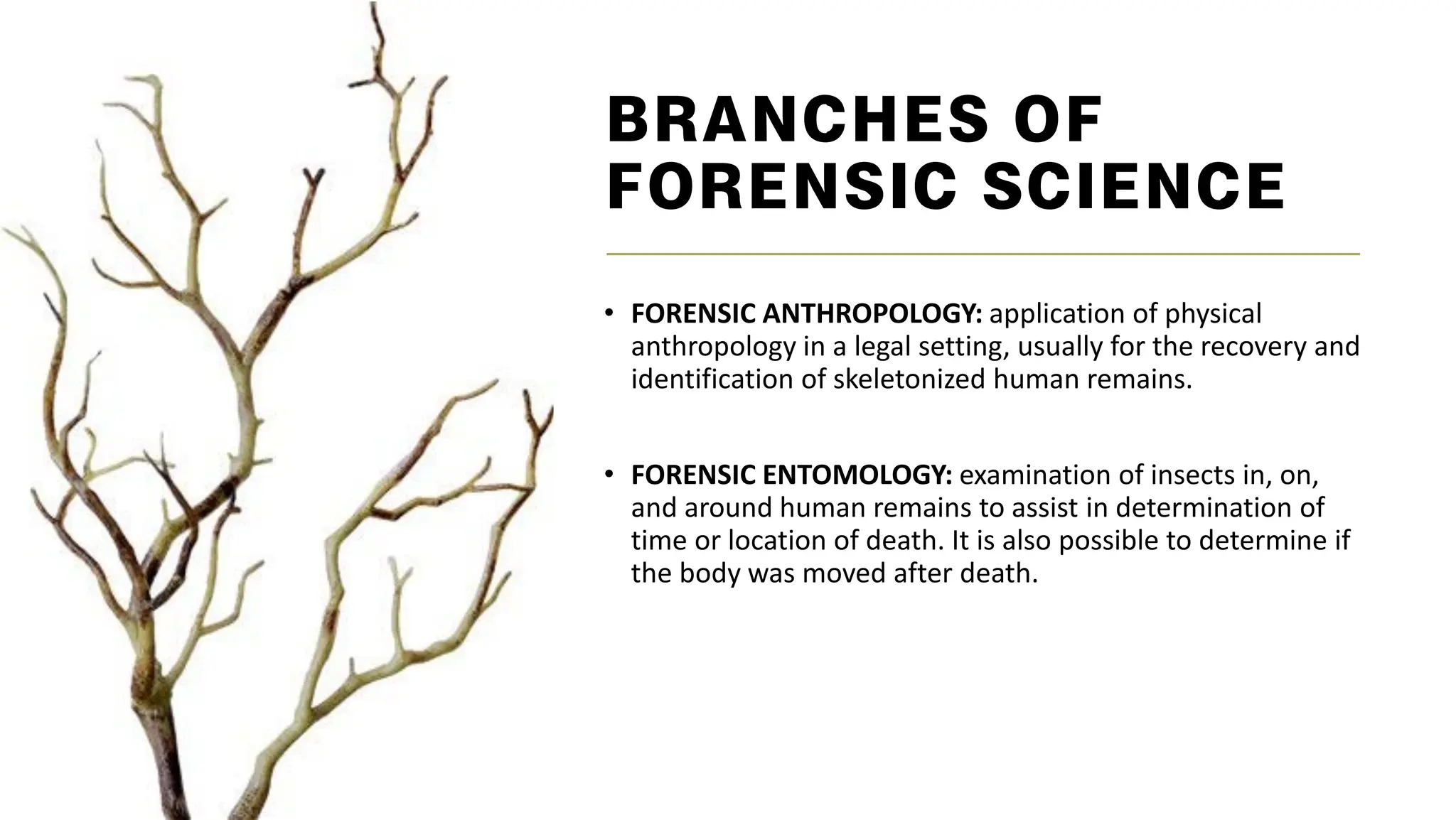 Introduction to Forensic Pathology course | PDF