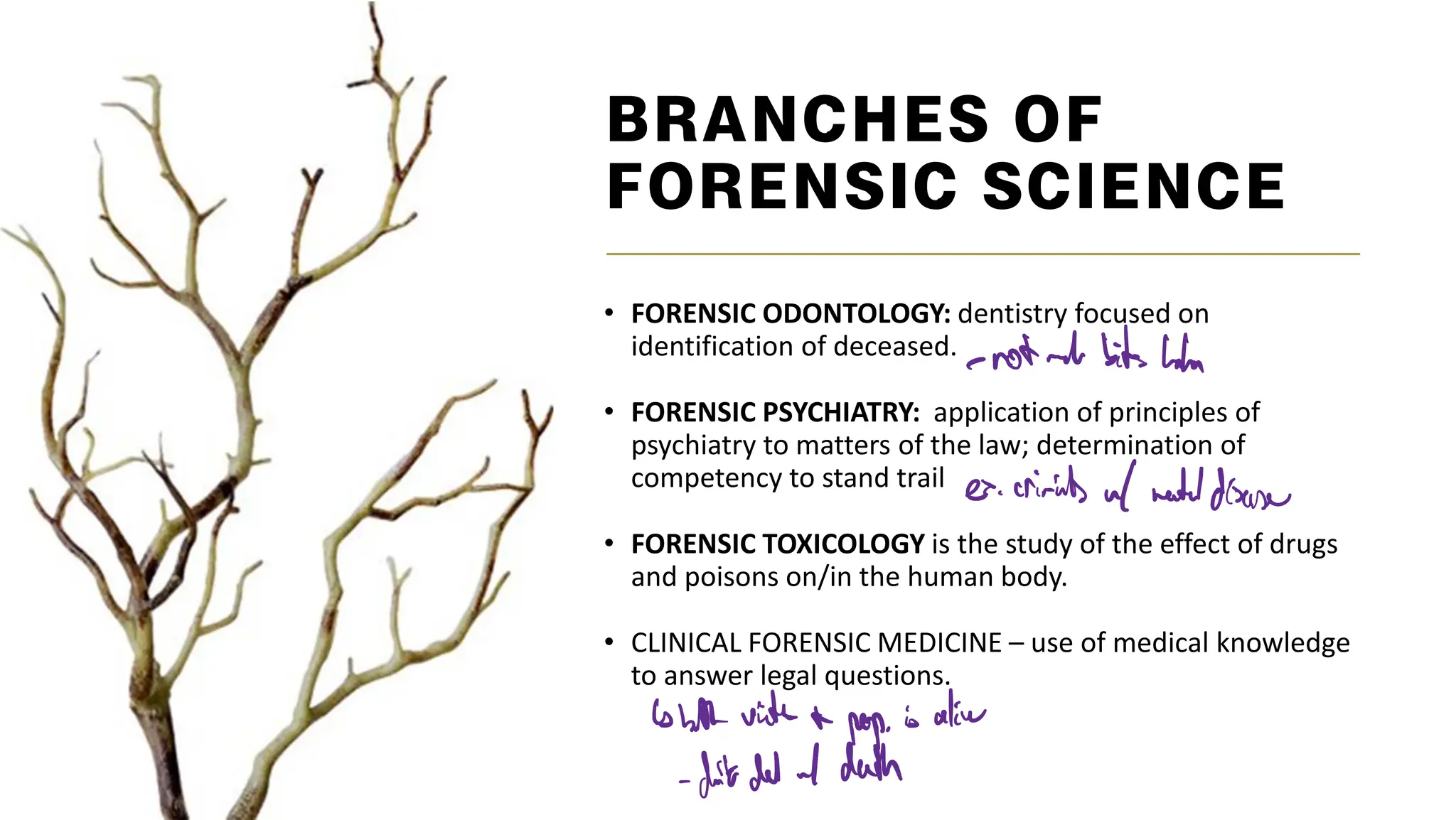 Introduction to Forensic Pathology course | PDF