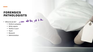 Introduction to Forensic Pathology course | PDF