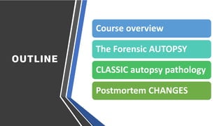 Introduction to Forensic Pathology course | PDF