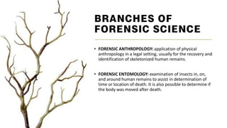 Introduction to Forensic Pathology course | PDF