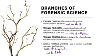 Introduction to Forensic Pathology course | PDF
