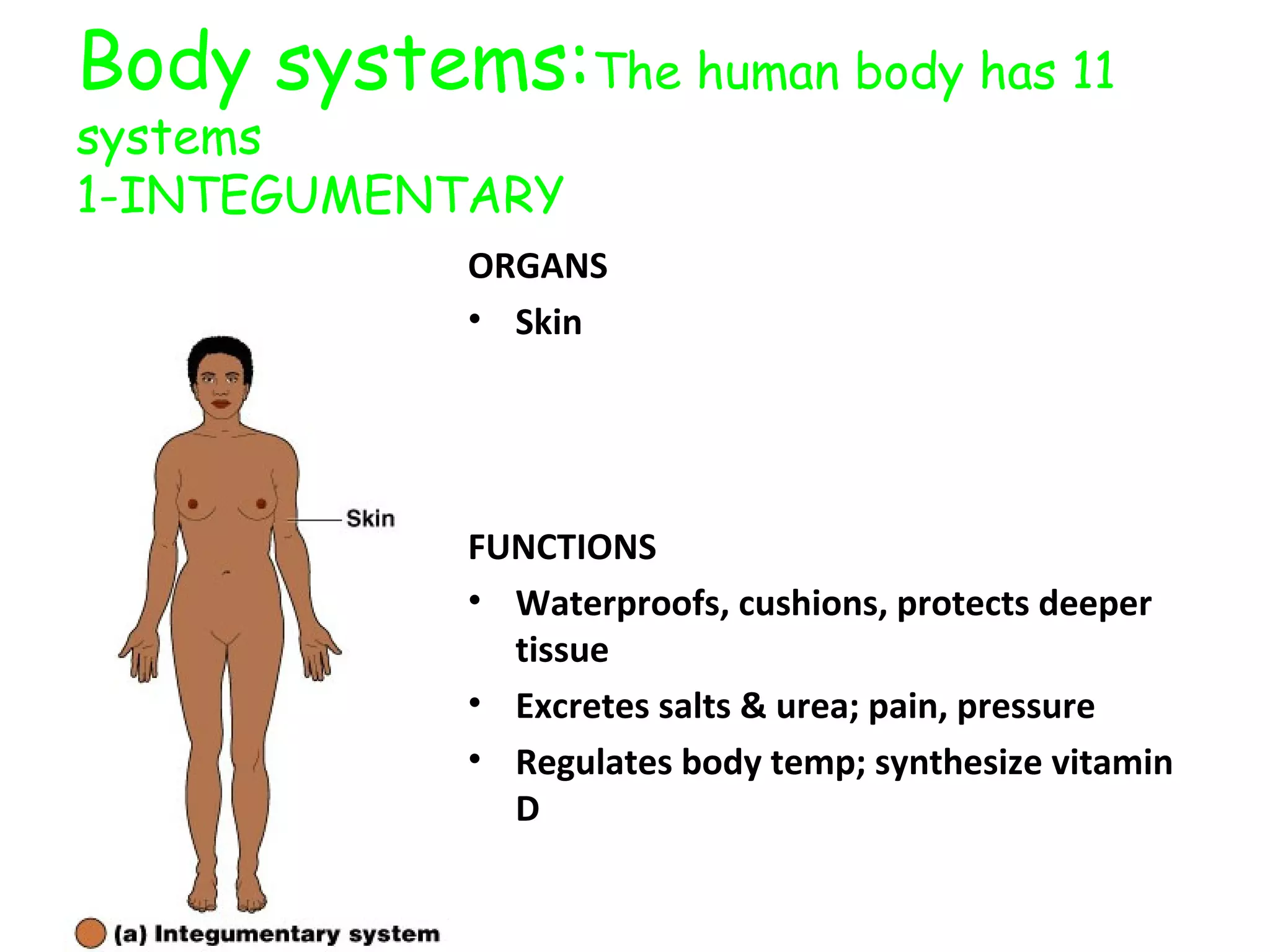 Lecture 1 introduction to human body | PPT