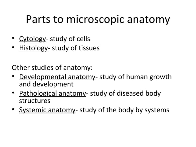 Lecture 1 introduction to human body | PPT