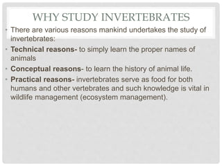 Lecture_1_Introduction_to_invertebrates_presentation.pptx