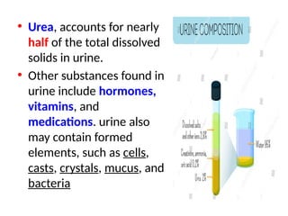 LECTURE 1 (Introduction to Urinalysis).pptx