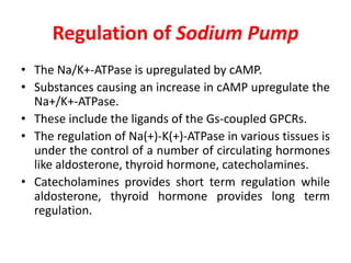 LECTURE 1 intro,sodium,potassium.pptx