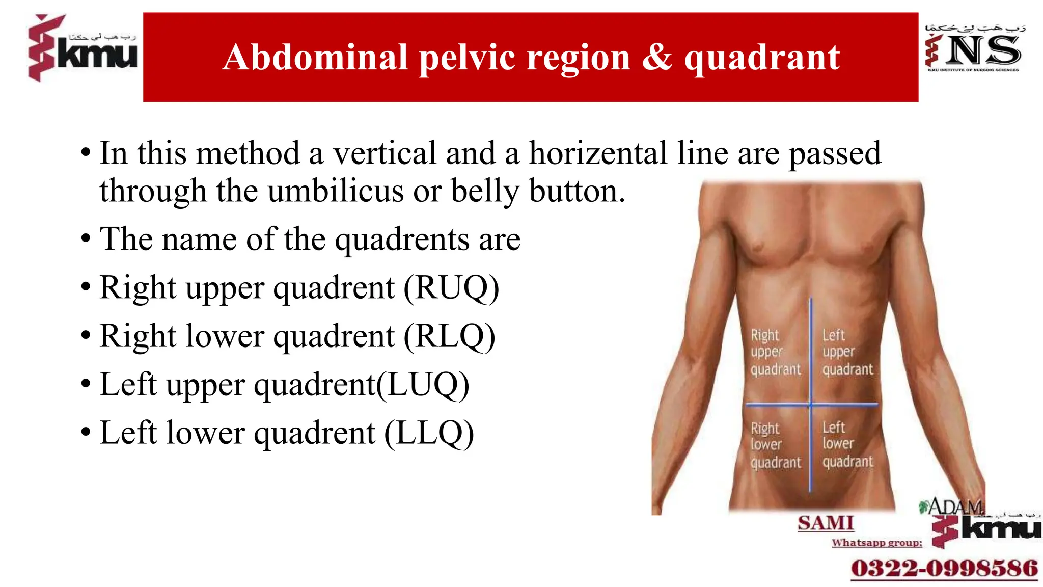 Lecture 1 Anatomy and physiolgy for bsn generic students semester 1 | PPT