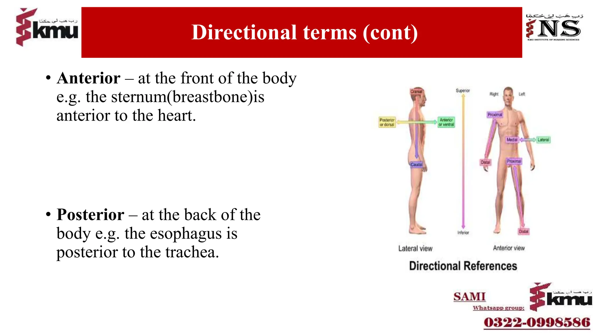 Lecture 1 Anatomy and physiolgy for bsn generic students semester 1 | PPT