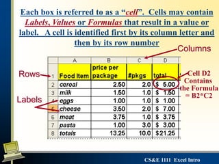 Lecture 1 Intro to Excel.pptx