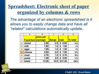 Power Point Presentation for Introduction to Excel for understanding | PPTX