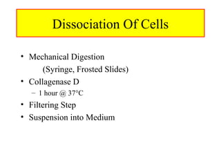 Lecture 1 intro to tissue culture | PPT