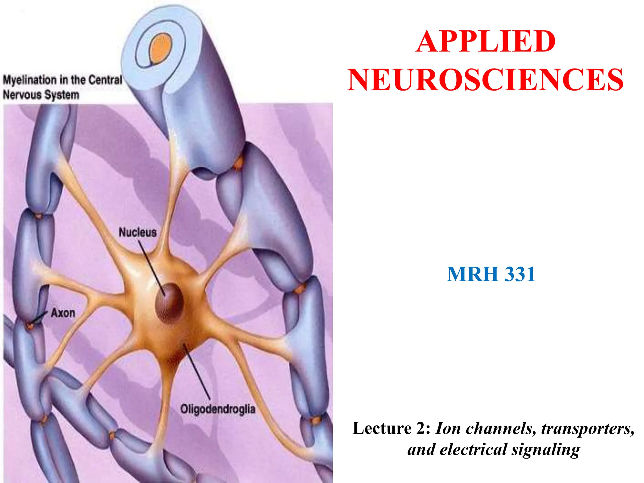 Ion Channels, Ion transport and Electrical Signalling | PPT