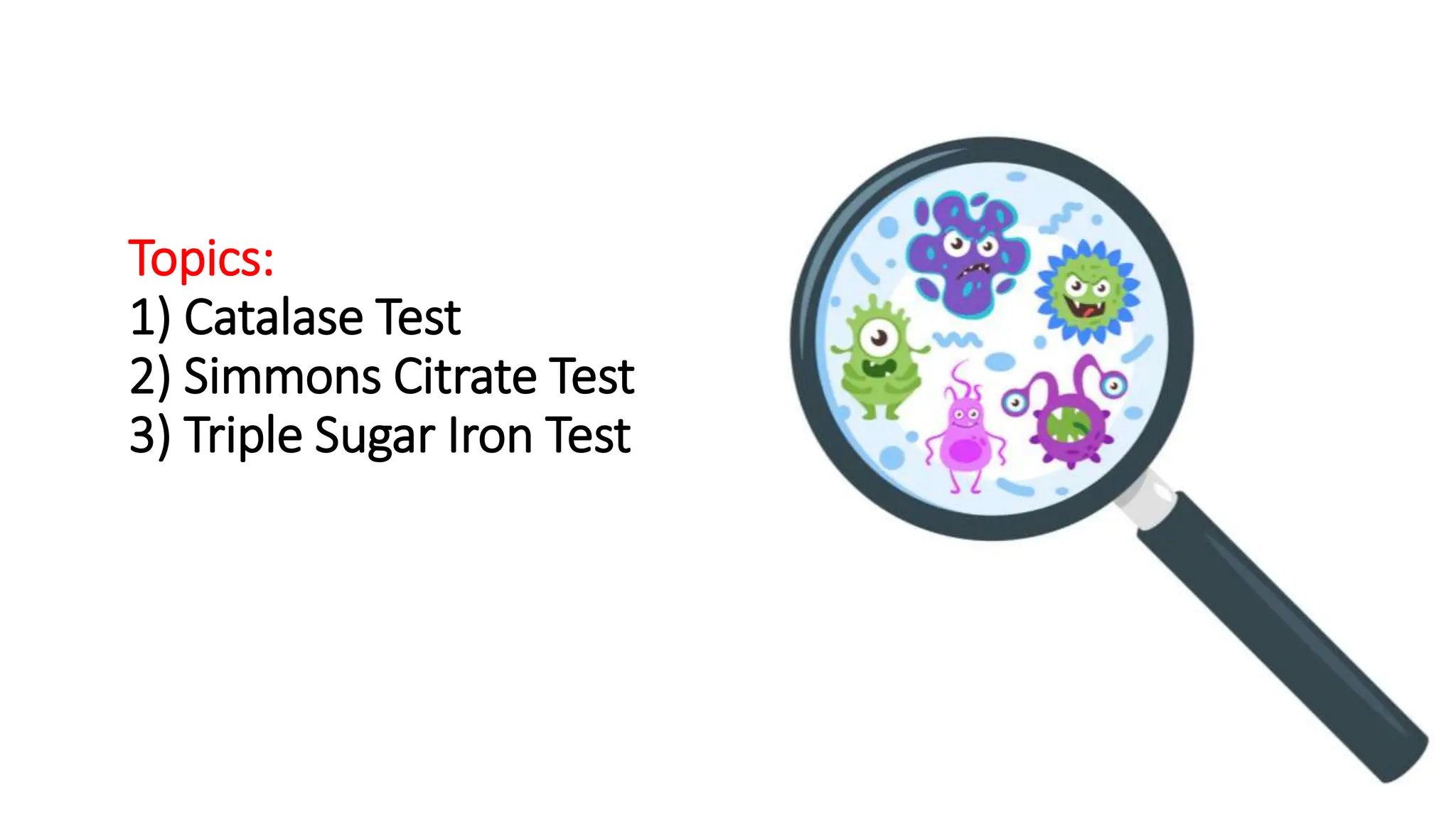 Basic microbiology laboratory tests.pptx