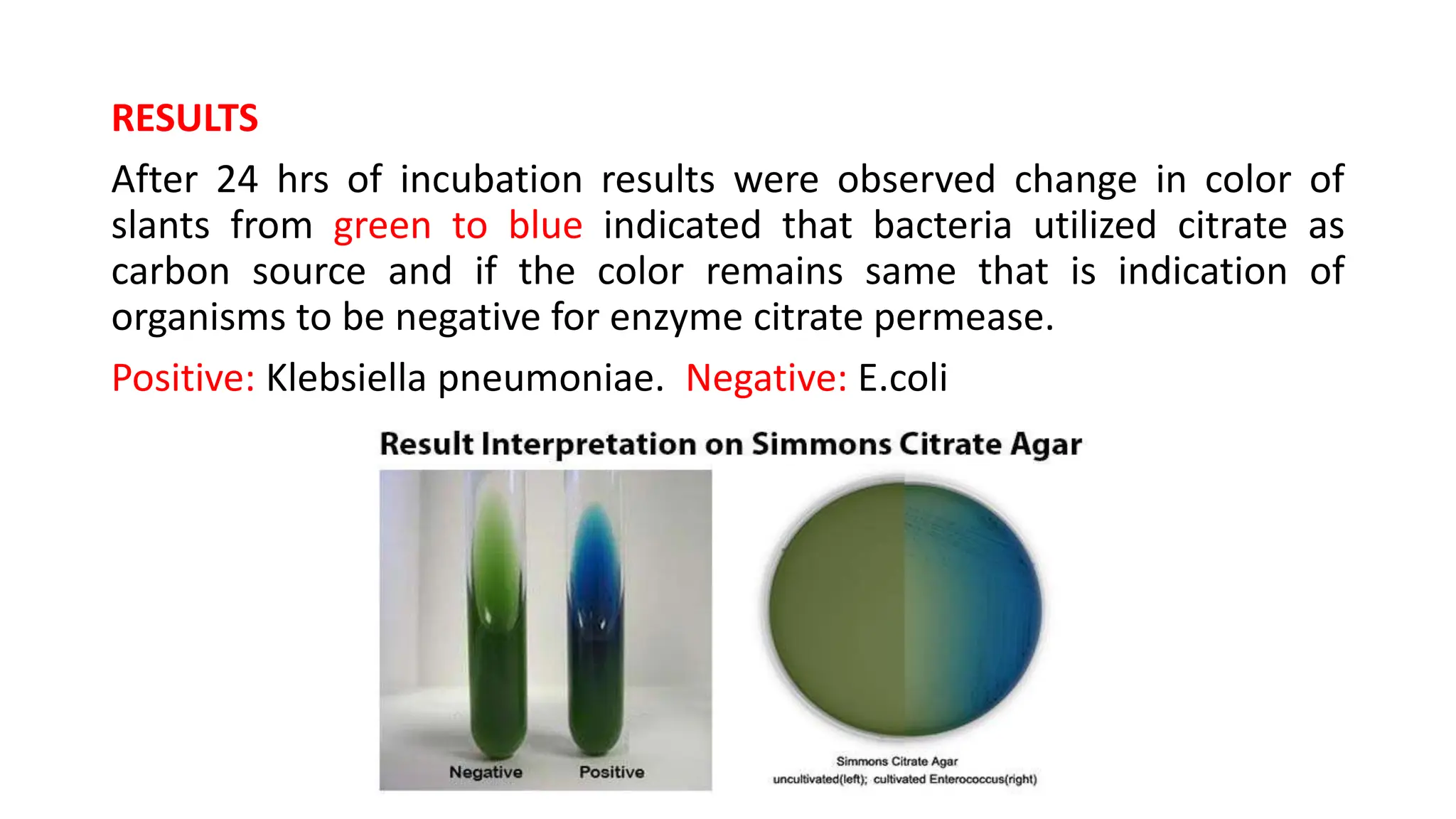 Basic microbiology laboratory tests.pptx