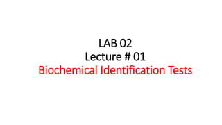 Basic microbiology laboratory tests.pptx