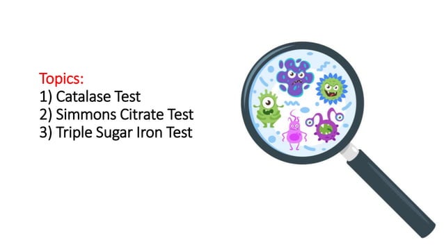 Basic microbiology laboratory tests.pptx | Free Download